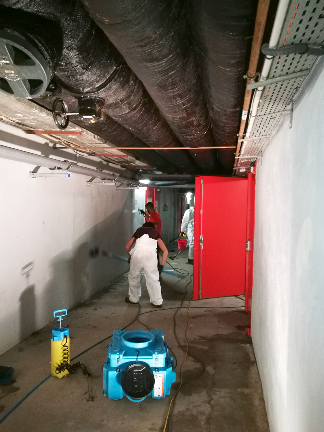 Zoom sur un des métiers du réseau R-A-S : la décontamination - Réseau ...